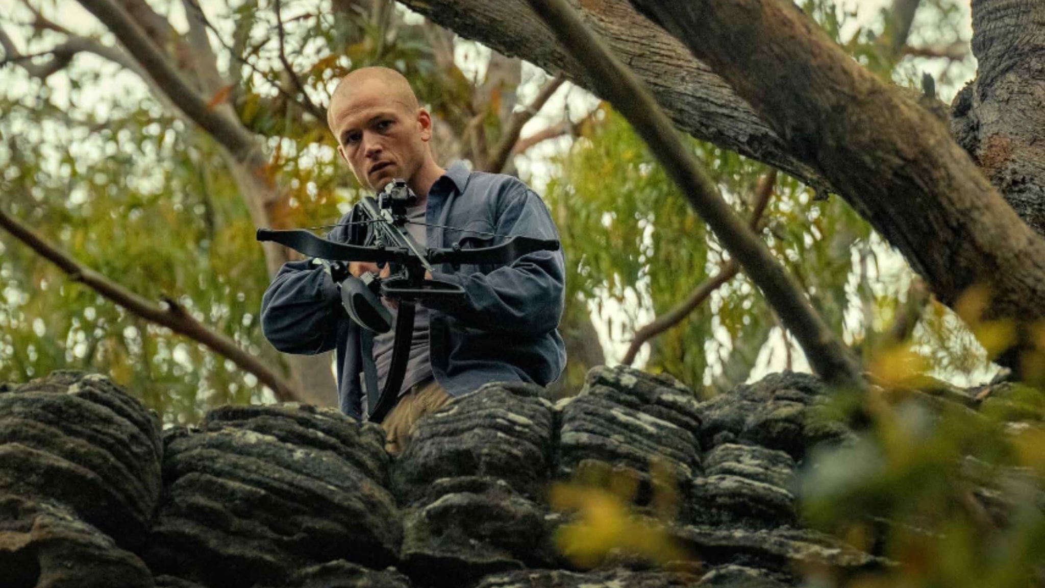 Верхівковий хижак / Apex (2026): що відомо про новий трилер Netflix із ...